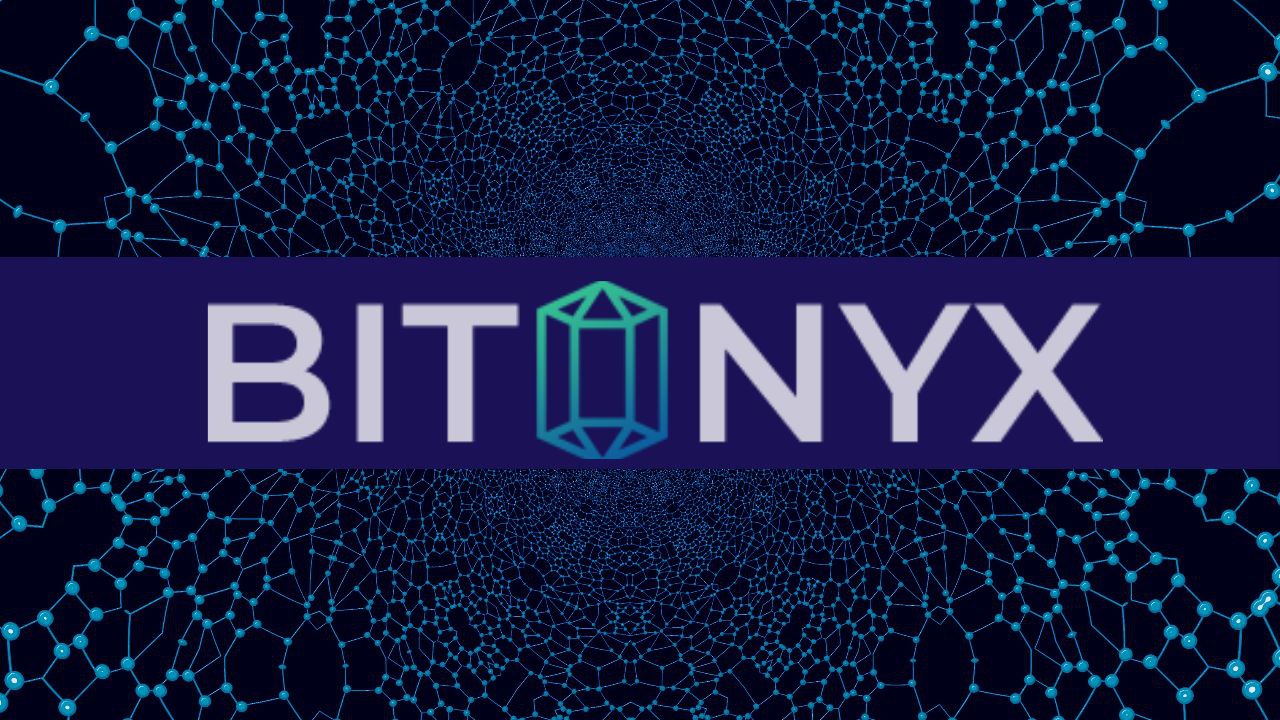 Bitonyx | The profit-sharing service was stopped as planned